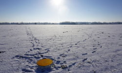 Ground Control Targets for UAV LiDAR accuracy | Routescene