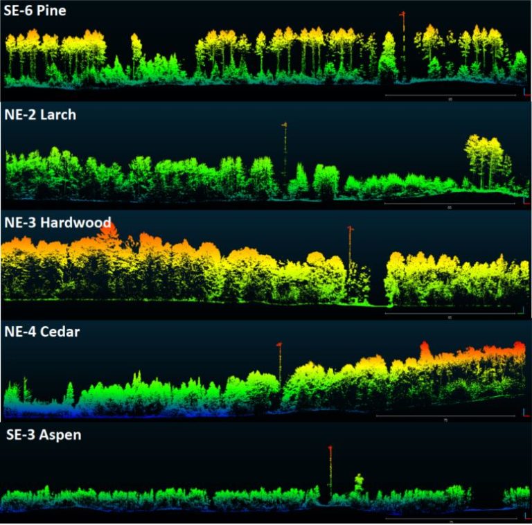 Forest canopy structure characterized by UAV LiDAR | Routescene