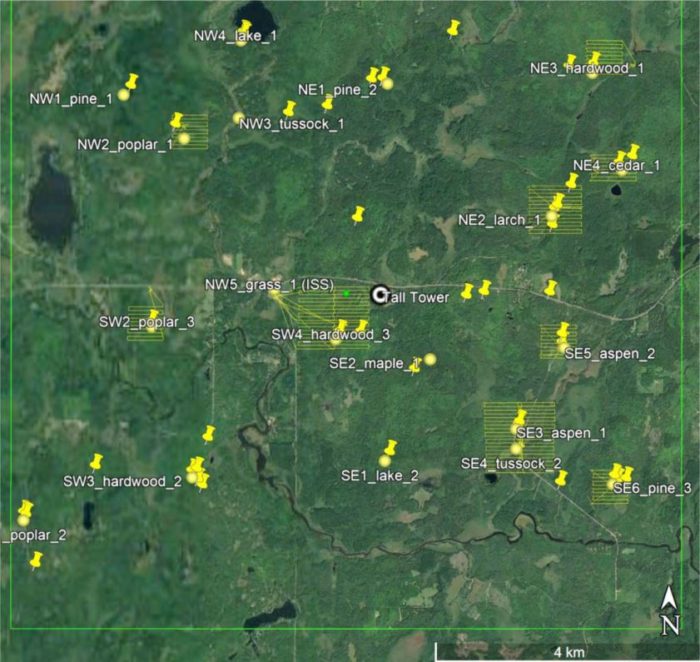 Forest canopy structure characterized by UAV LiDAR | Routescene