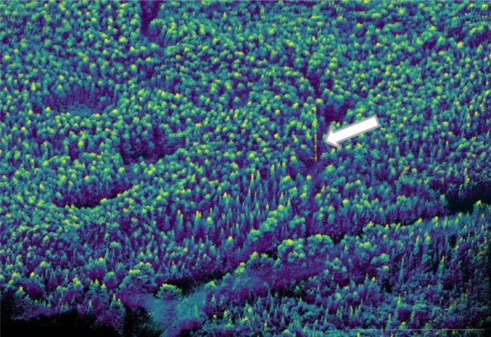 Forest canopy structure characterized by UAV LiDAR | Routescene
