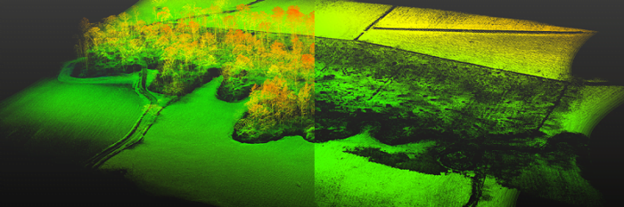 UAV LiDAR forest management | Routescene
