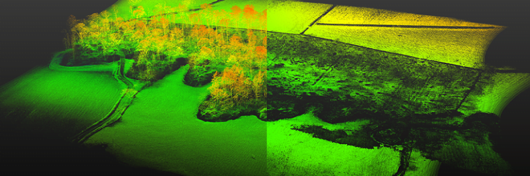 UAV LiDAR forest management | Routescene