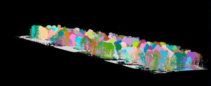 UAV LiDAR forest management | Routescene