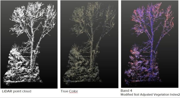 LiDAR powerline vegetation management | Routescene